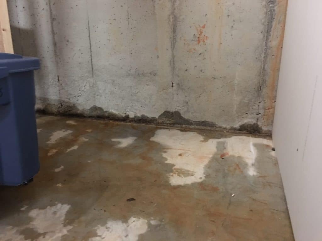 Important Indicators That You Need Basement Waterproofing Services ...